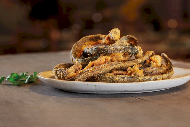 Mês Da Enguia De 1 De Março A 2 De Abril No Concelho De Salvaterra De